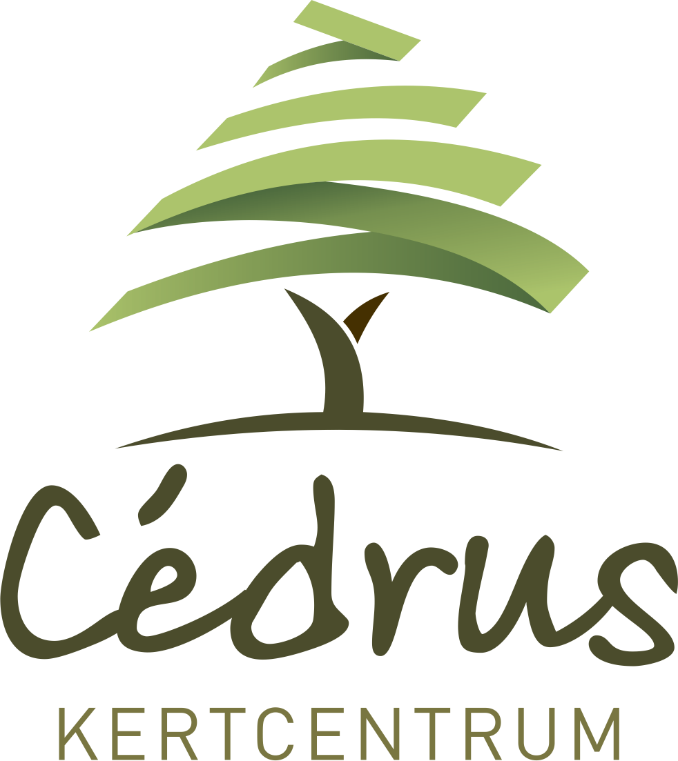 Cedrus Kertcentrum – Egy újabb WordPress honlap